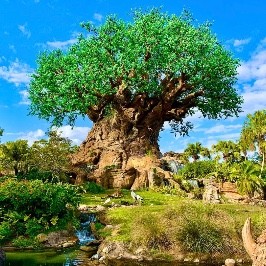 Special Olympics New Hampshire - Jennifer Booth